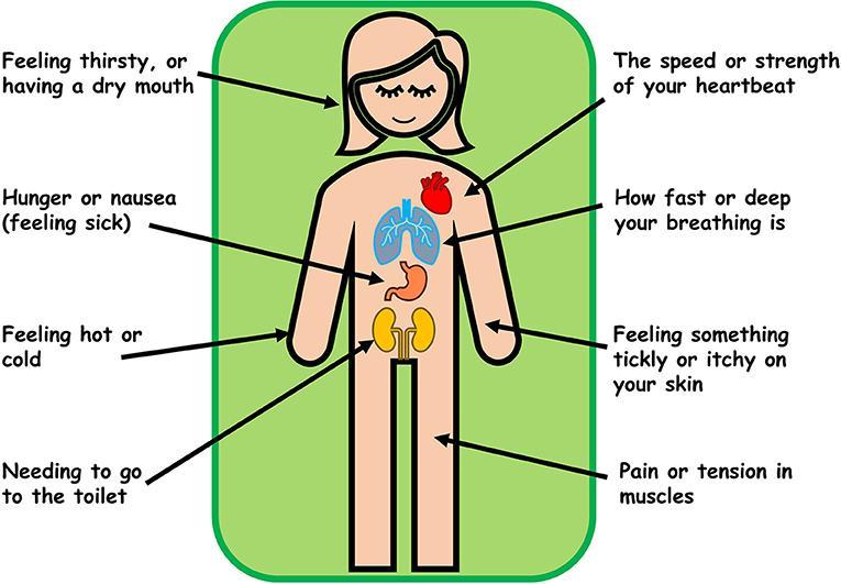 Sensory - Internal Senses in more detail - Autism Understood