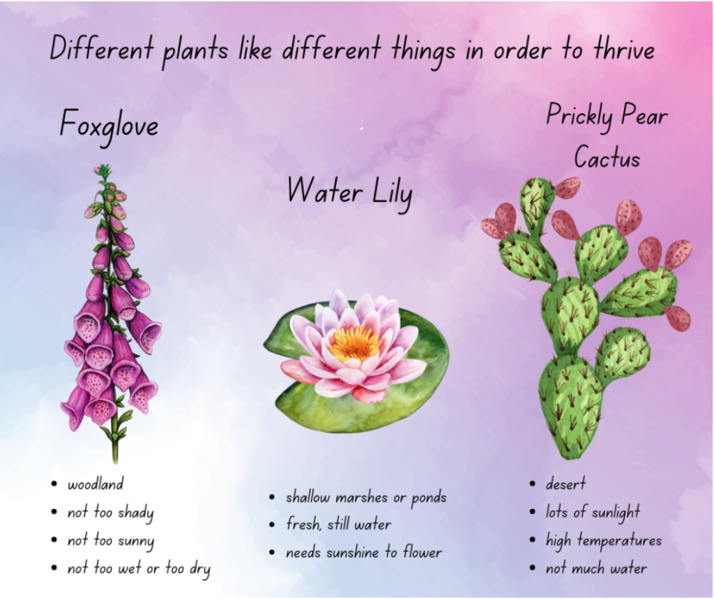 Introduction to neurodiversity - Autism Understood